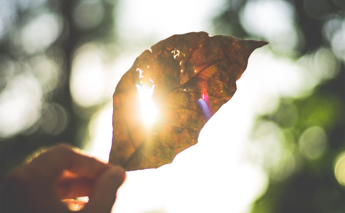 How transparency builds trust - H&M Group